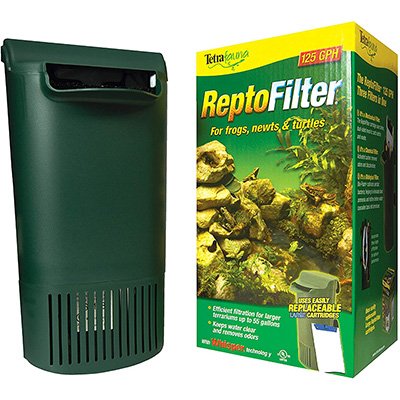 How To Create The Best Turtle Tank For Your Pet - The Pet Staff