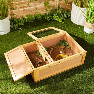 How To Create The Best Turtle Tank For Your Pet - The Pet Staff