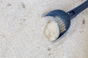 The Ultimate Guide To Types Of Cat Litter: Pros & Cons - The Pet Staff