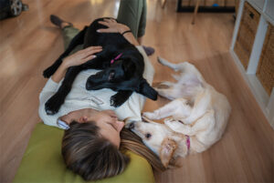 How To Know If Your Dog Loves You: 16 Heartfelt Signs To Recognize ...